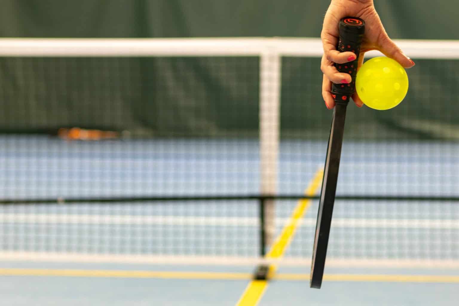 What is Pickleball? A Comprehensive Guide for Beginners | Pickleballer.com